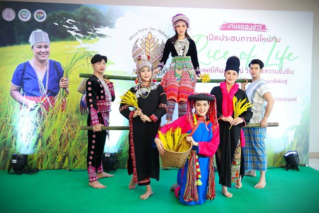 งาน Rice of life ประเพณีกินข้าวใหม่_06 – Thailand Plus Online